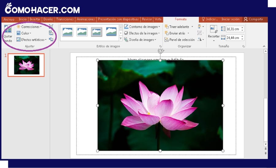 ¿Cómo insertar imágenes en PowerPoint? - Añade imágenes a tus ...