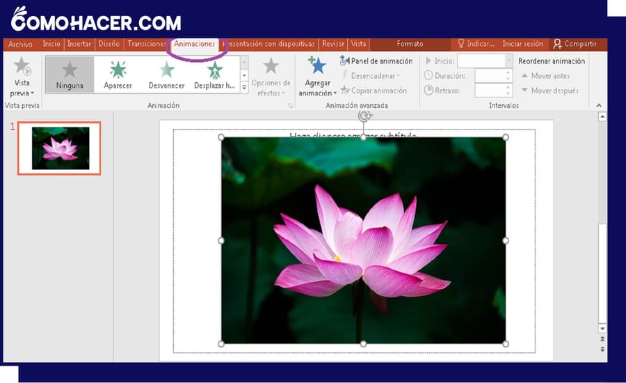¿Cómo insertar imágenes en PowerPoint? - Añade imágenes a tus ...